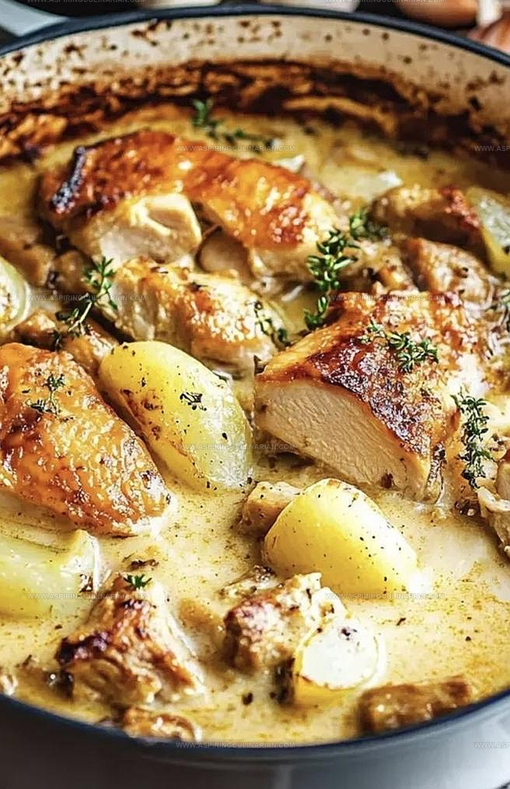Silky French Orchard Chicken Normandy Recipe for Dinner Joy - Aspiring ...