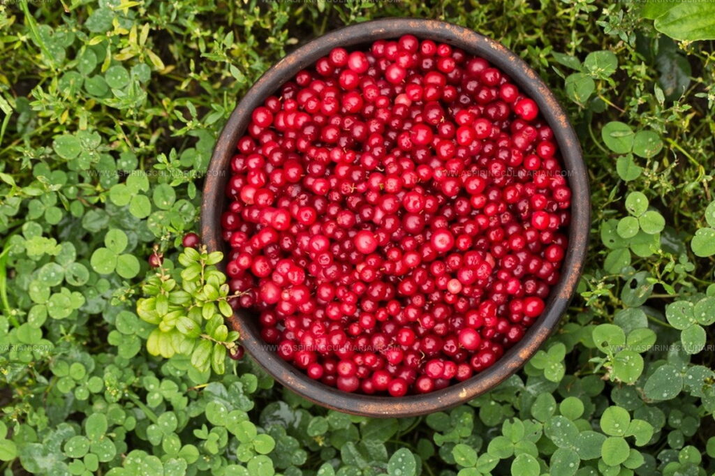 What Does Lingonberry Taste Like? Uncover This Nordic Berry's Zing ...